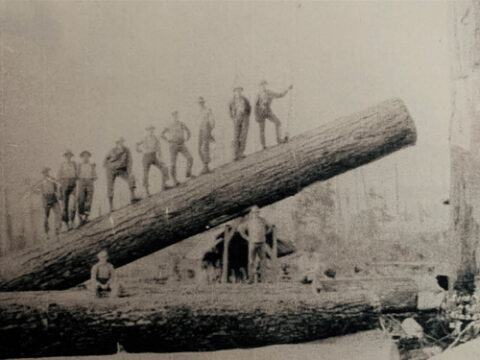 Lumber and Sawmills | Siuslaw Pioneer Museum
